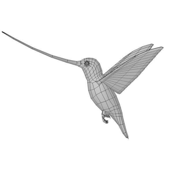 3d colibri birds rigged model