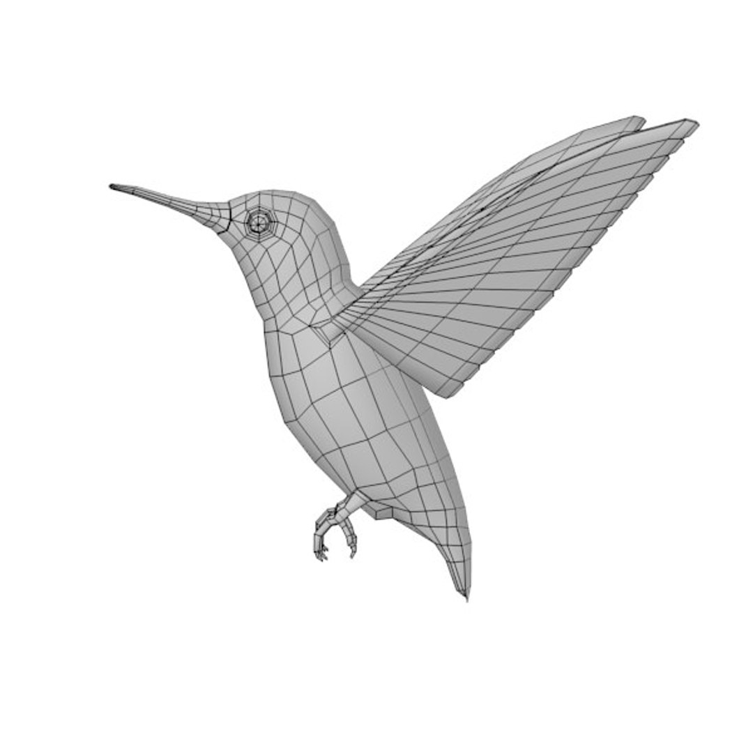 3d Colibri Birds Rigged Model