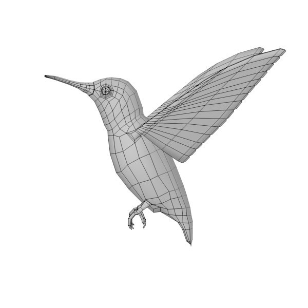 3d colibri birds rigged model