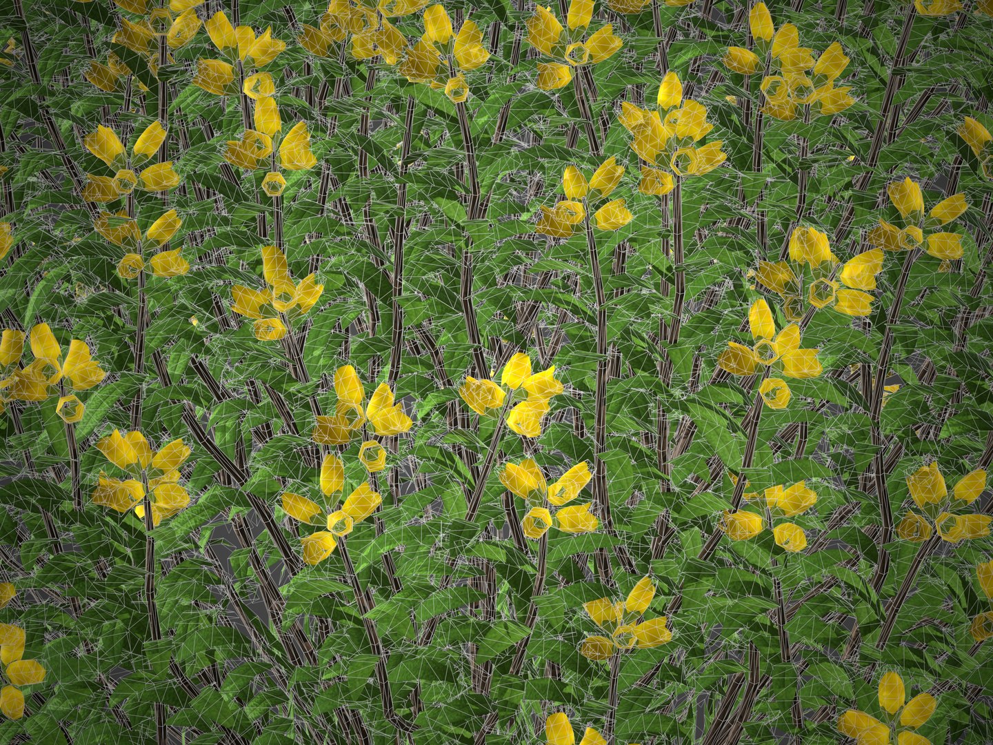 XfrogPlants Spanish Broom - Genista Hispanica 3D Model - TurboSquid 1734001
