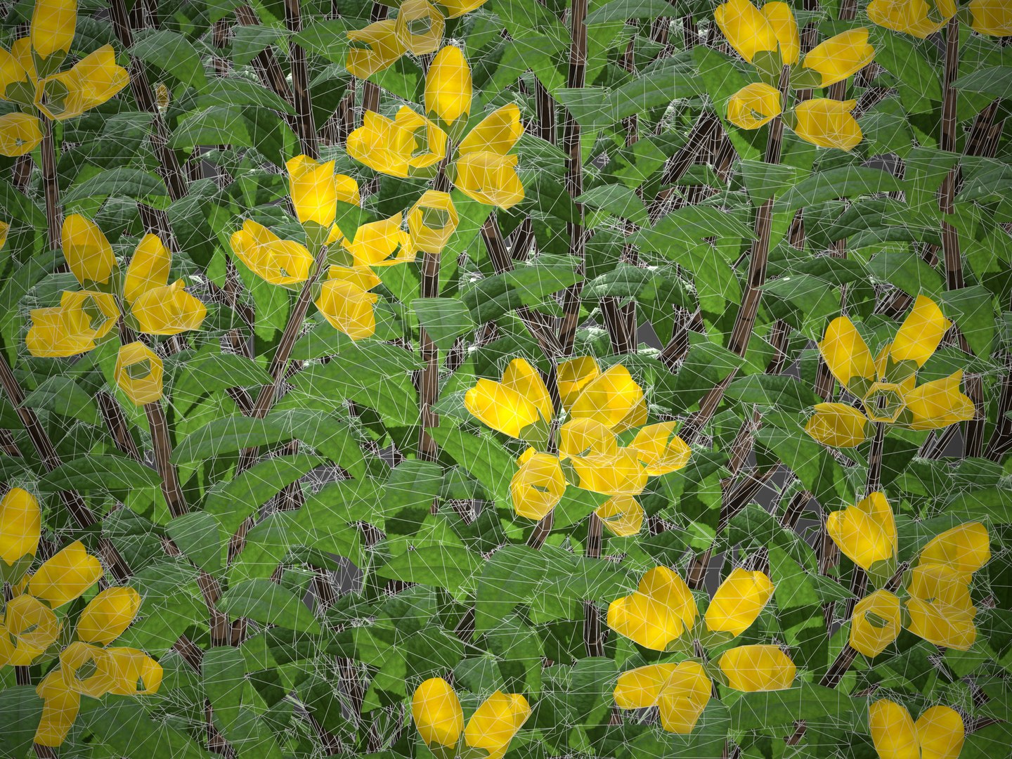 XfrogPlants Spanish Broom - Genista Hispanica 3D Model - TurboSquid 1734001