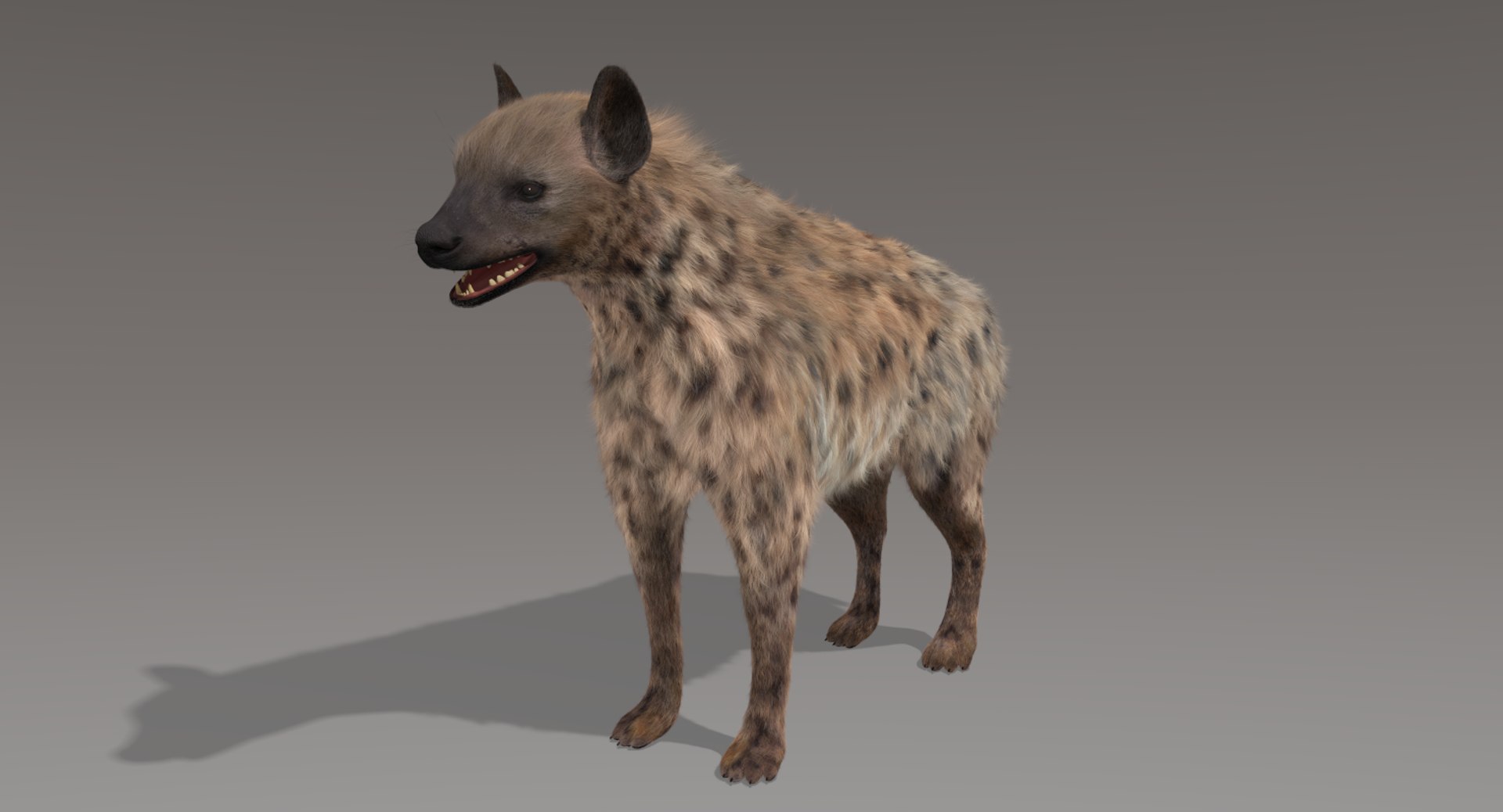 Max Spoted Hyena Fur