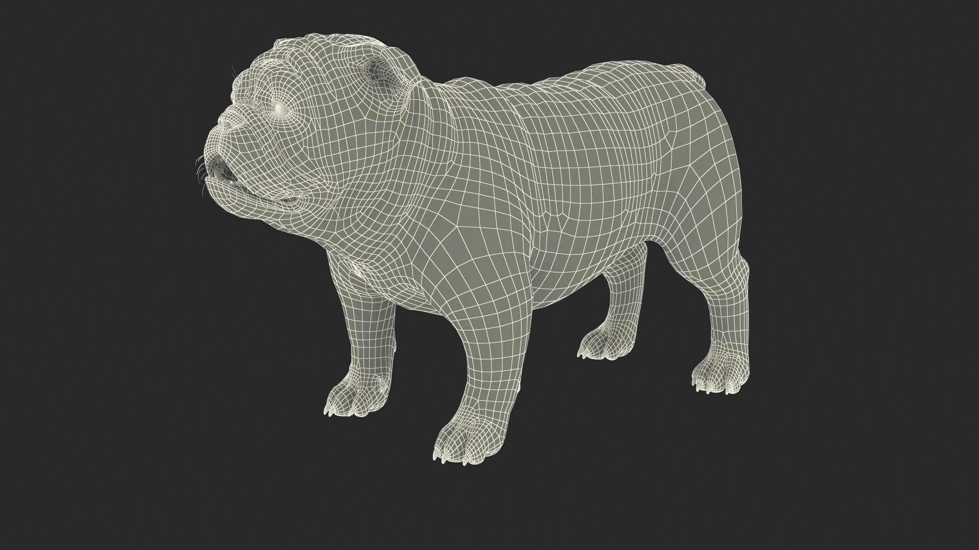 3D Bulldog Rigged For Maya - TurboSquid 2223640