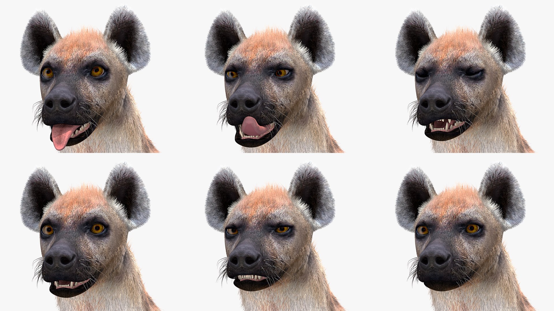 3D fur rigged hyena model - TurboSquid 1712822