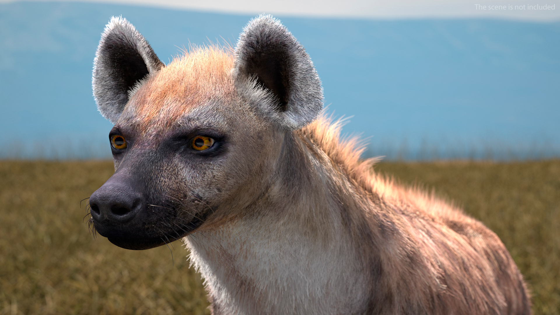3D fur rigged hyena model - TurboSquid 1712822