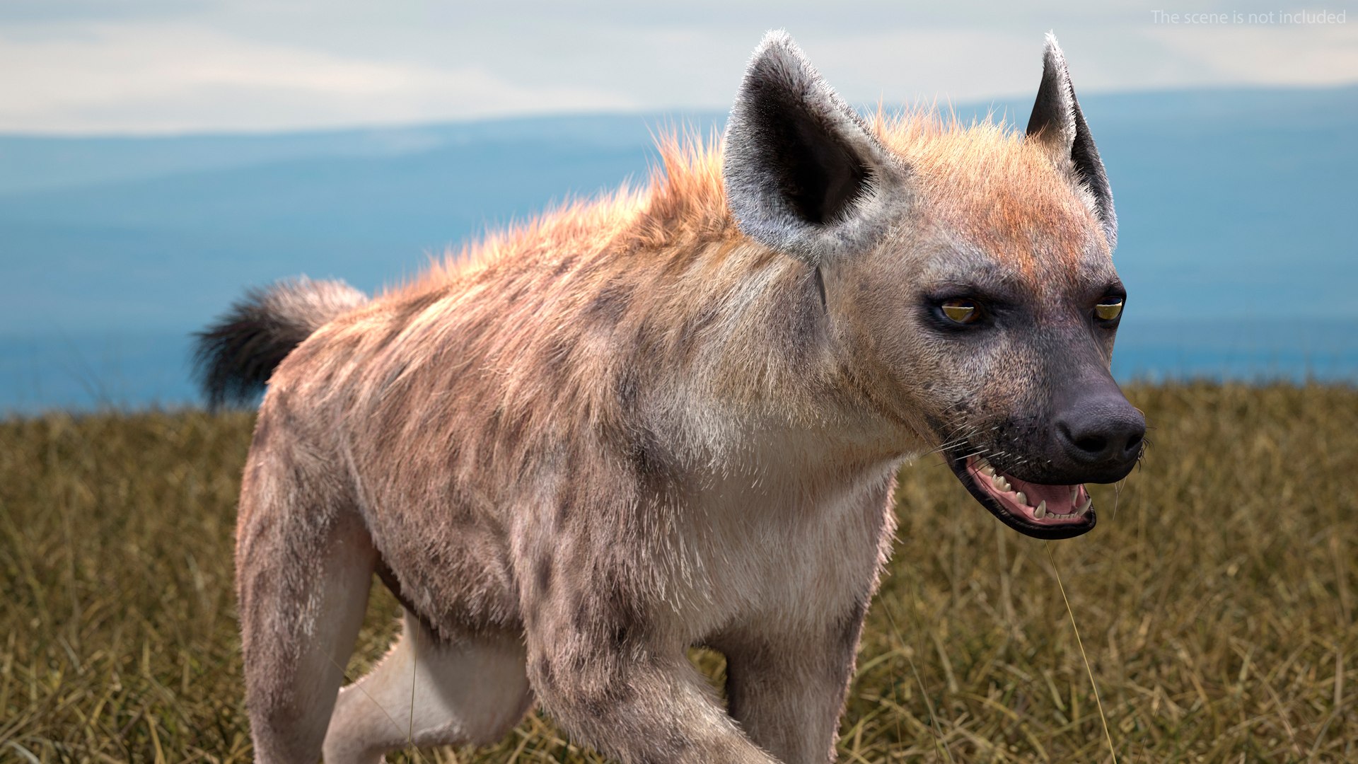 3D fur rigged hyena model - TurboSquid 1712822