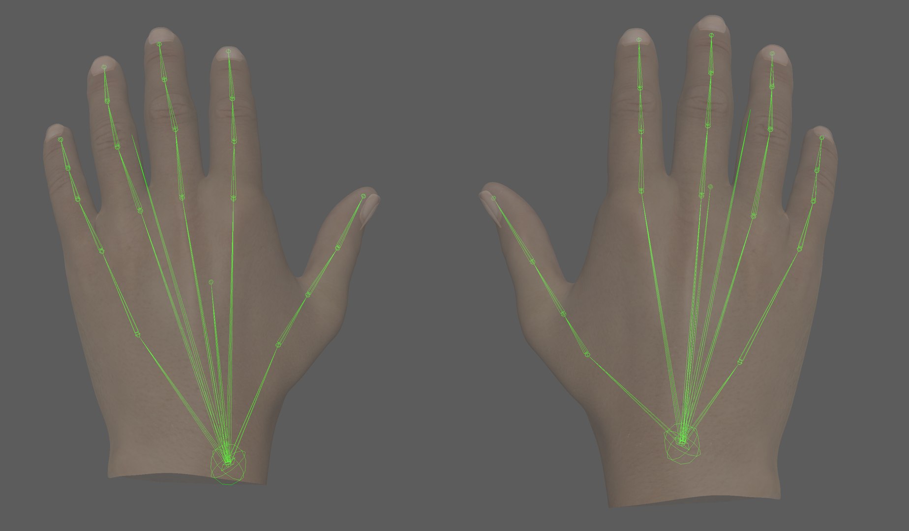 VR Realistic 3D Hand Rigged Model - TurboSquid 1784098