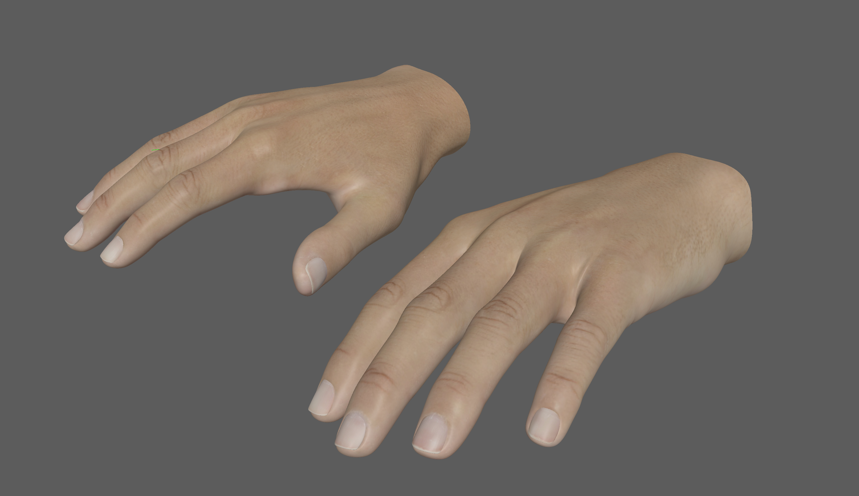 VR Realistic 3D Hand Rigged model - TurboSquid 1784098