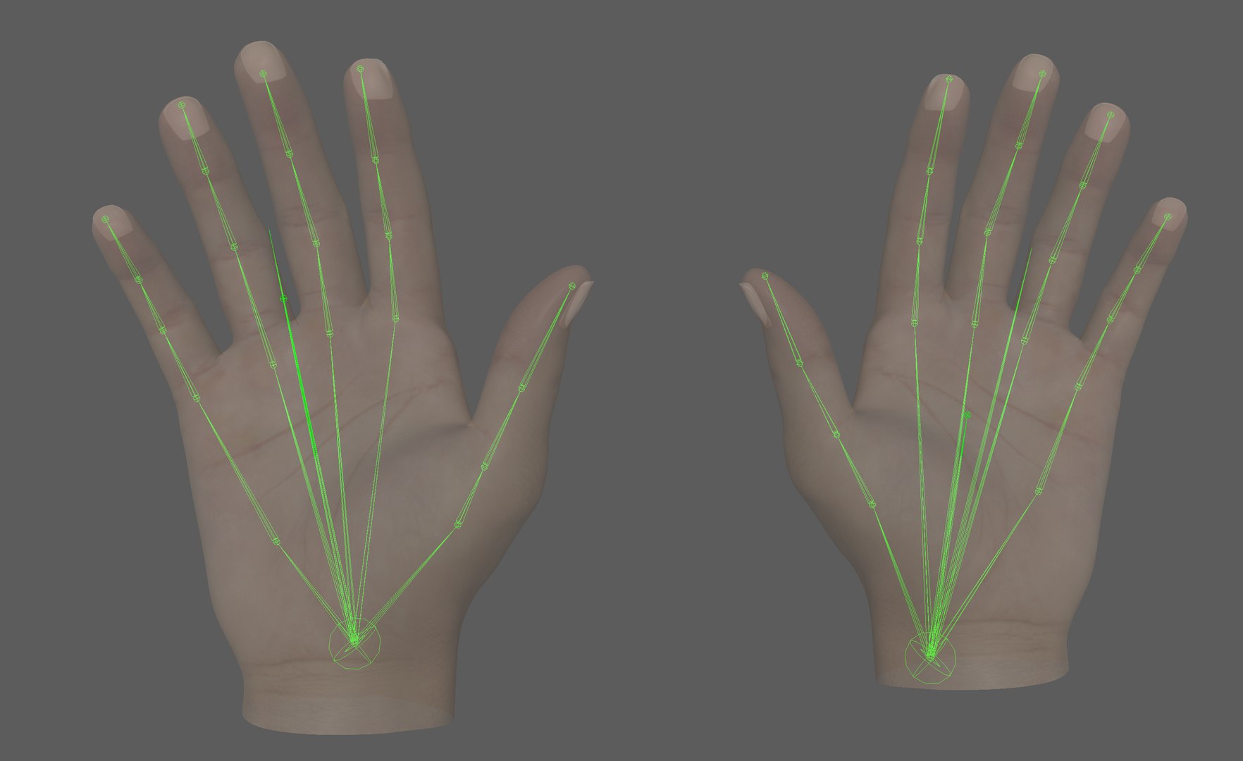 VR Realistic 3D Hand Rigged Model - TurboSquid 1784098