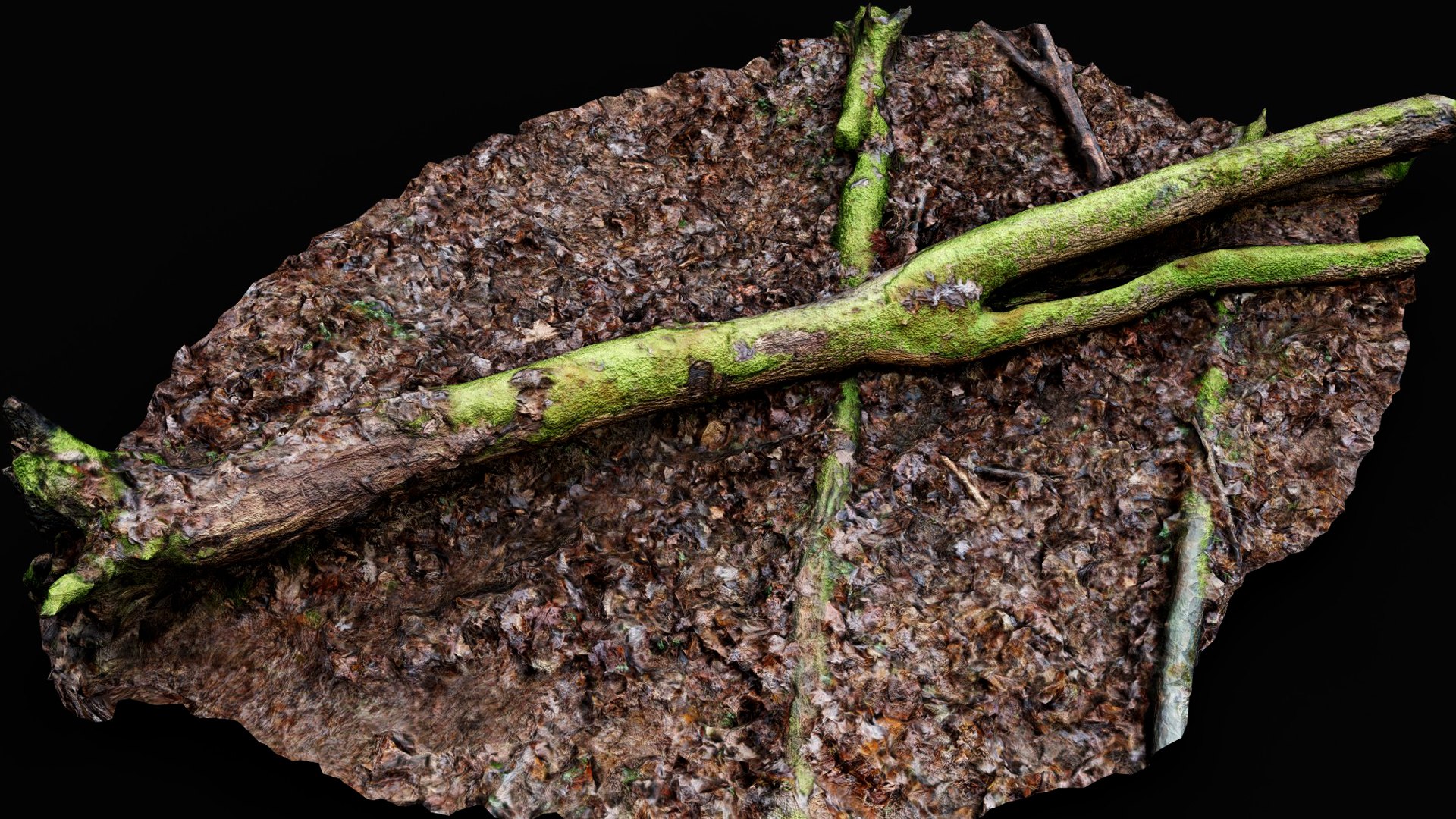 Forest Ground Mossy Tree Trunk Debris Pt13 Photogrammetry 3D Model ...
