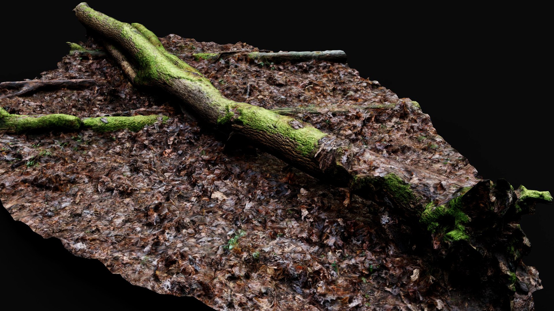 Forest Ground Mossy Tree Trunk Debris Pt13 Photogrammetry 3D Model ...