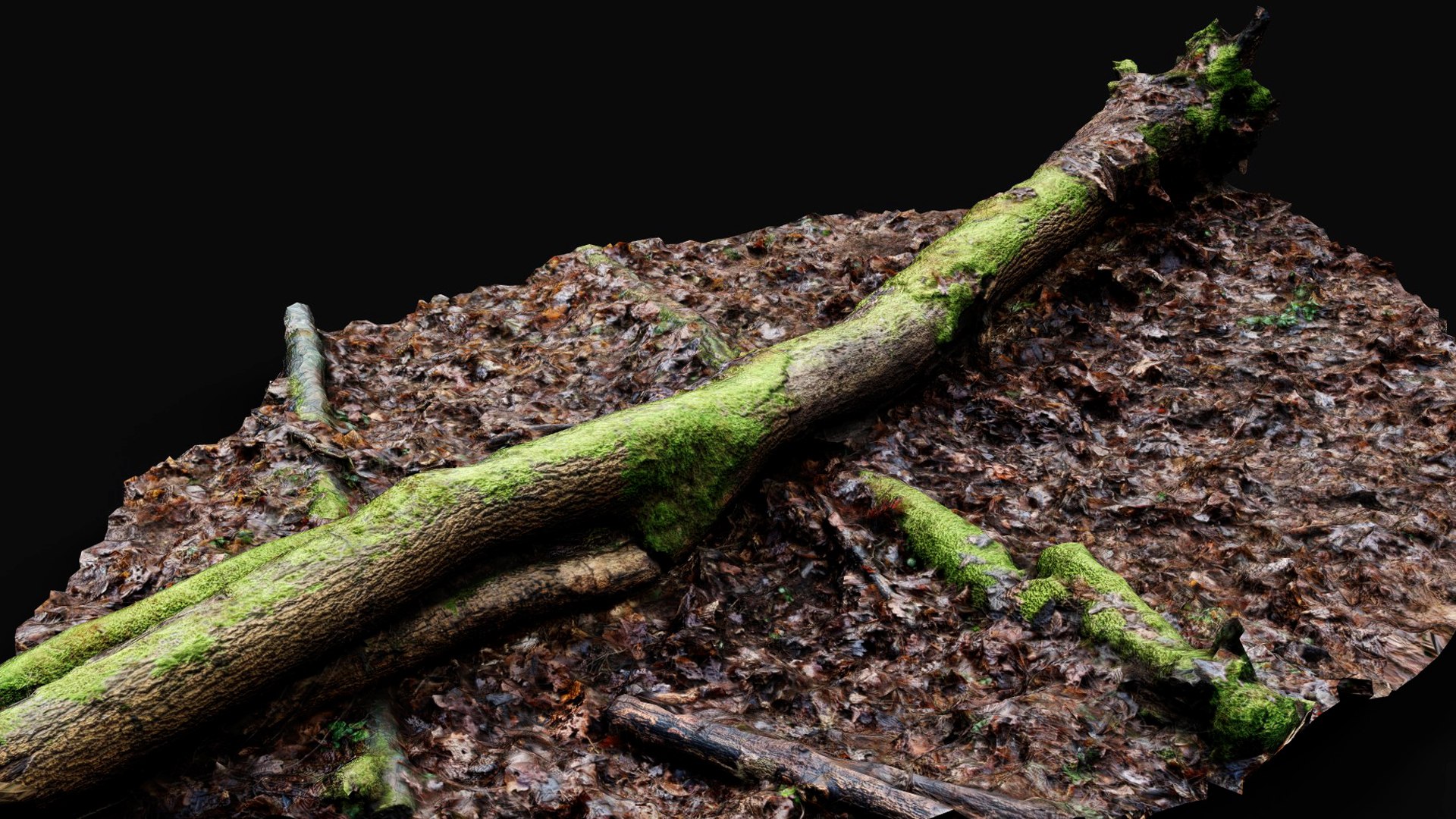 Forest Ground Mossy Tree Trunk Debris Pt13 Photogrammetry 3D Model ...