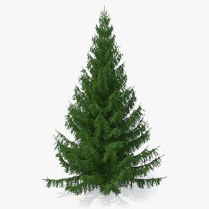 3D spruce tree covered snow - TurboSquid 1434856