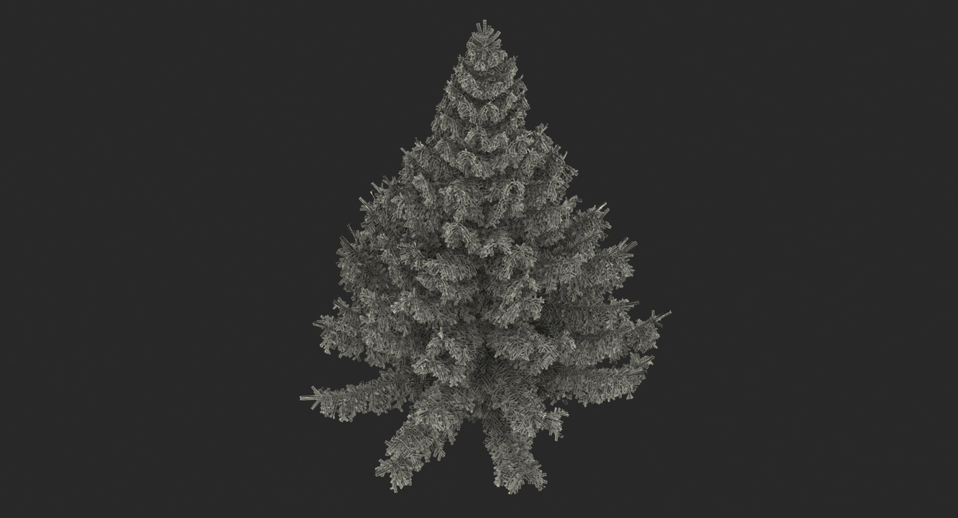 3D White Spruce Tree Model - TurboSquid 1434862
