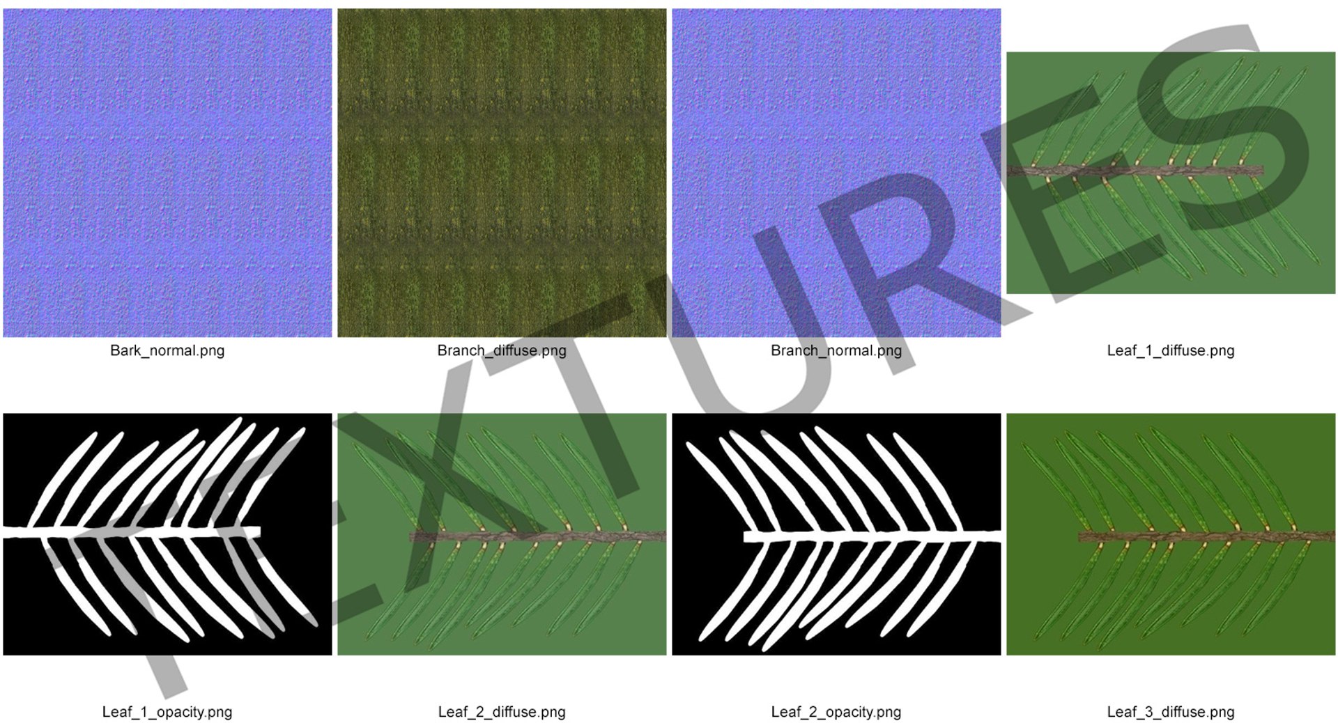3D White Spruce Tree Model - TurboSquid 1434862