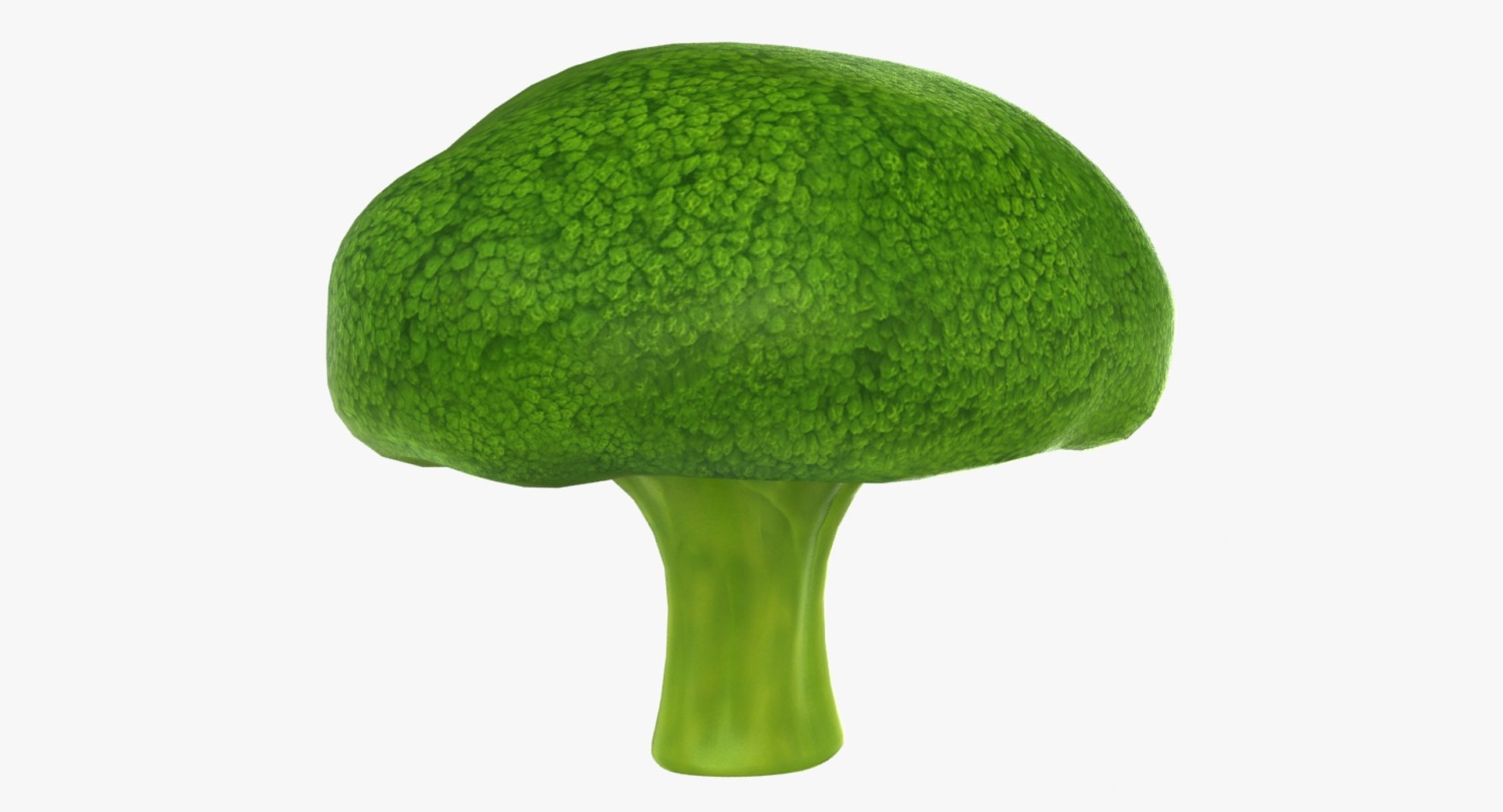 Cartoon Broccoli 3D Model - TurboSquid 1356945