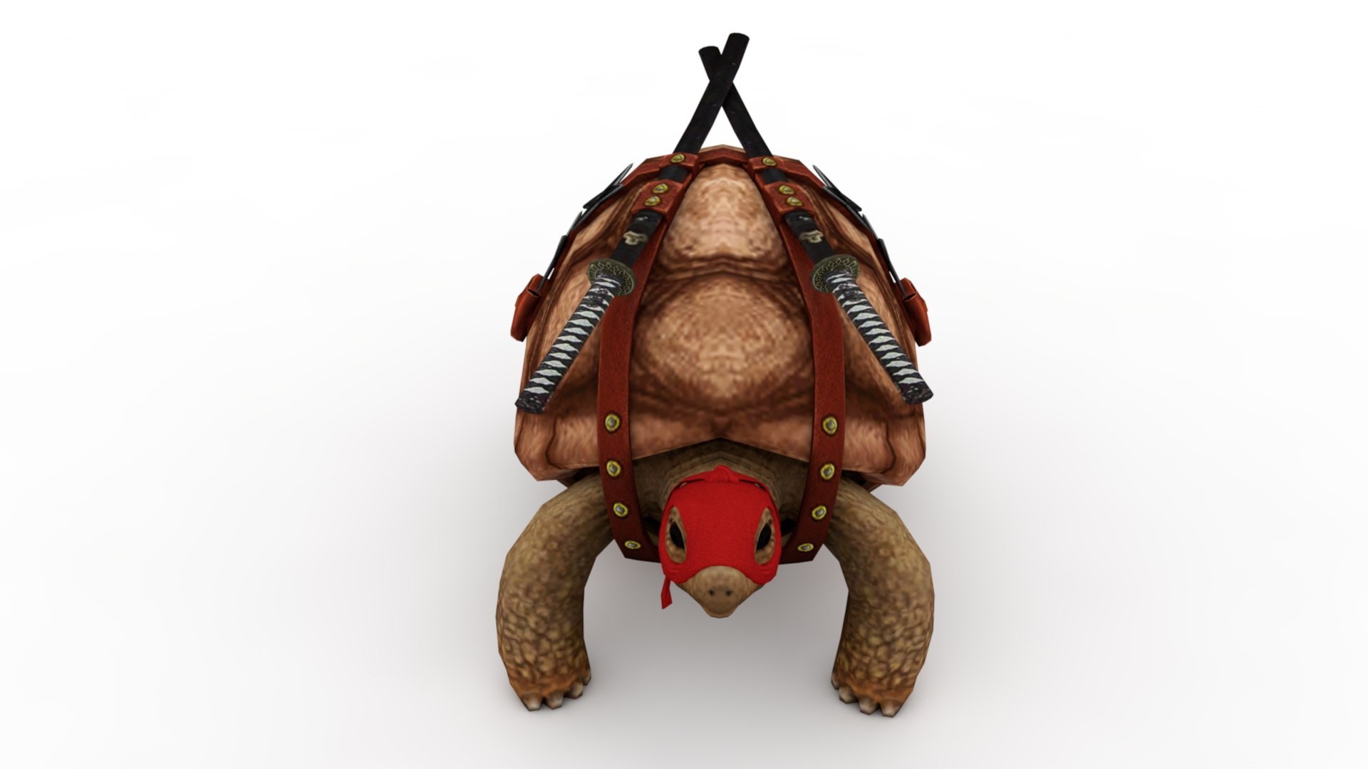 3D Tortoise - TurboSquid 1853529