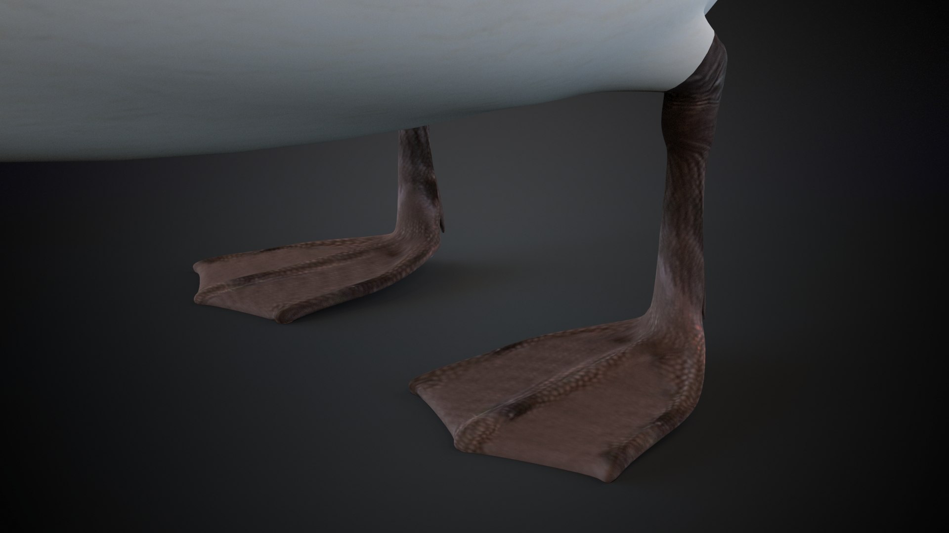 3d Model Swan