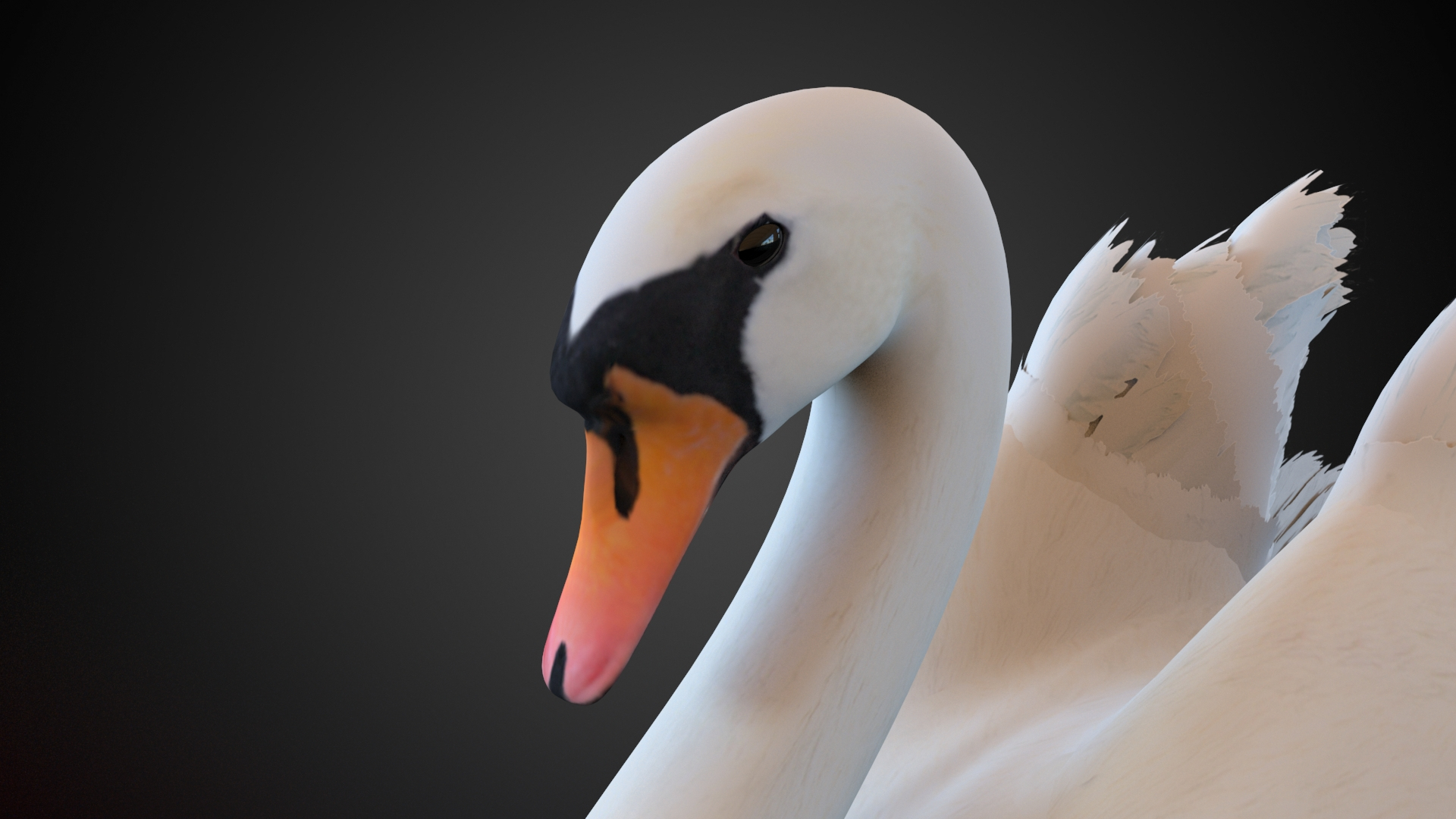 3d model swan
