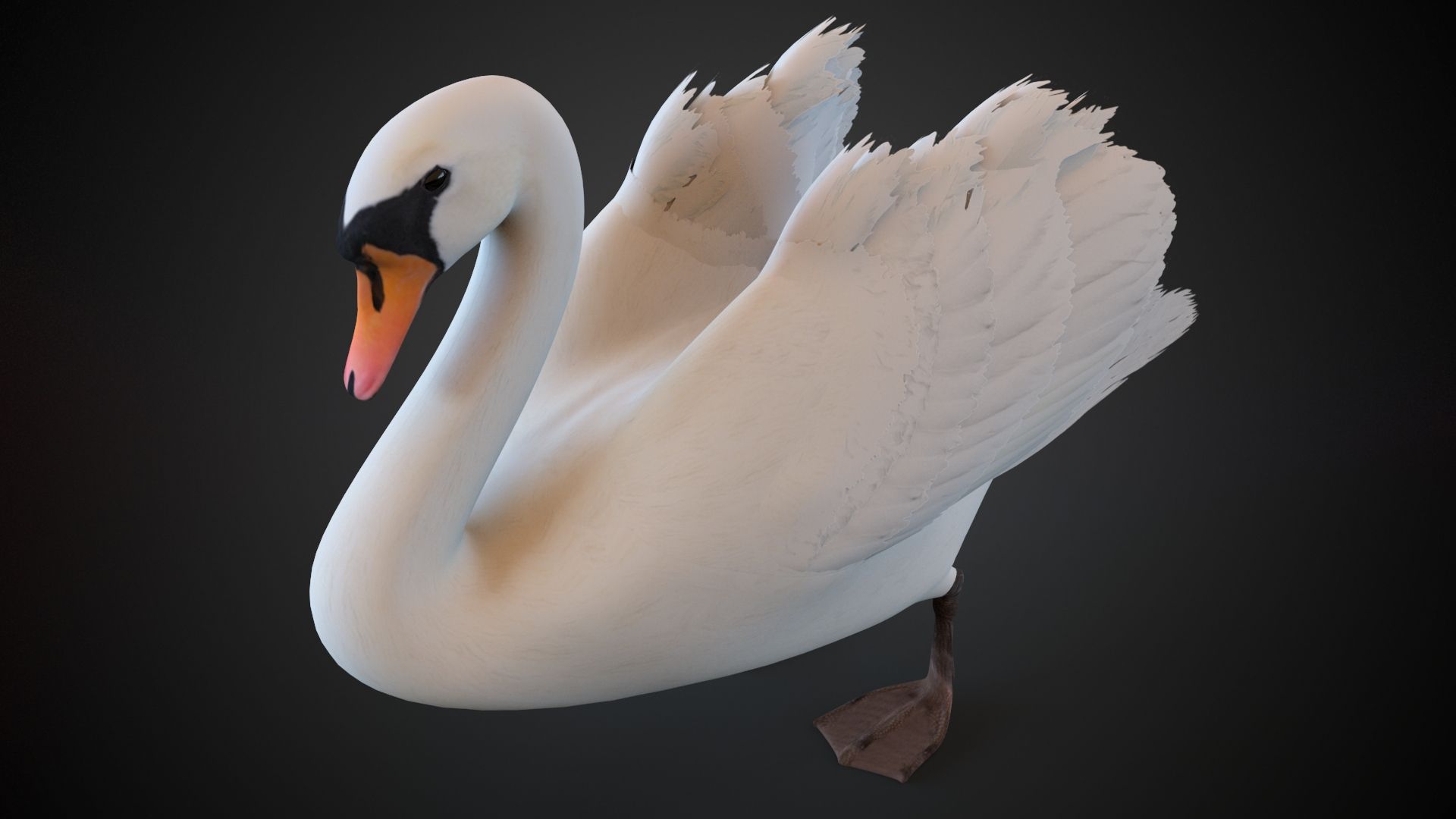 3d model swan