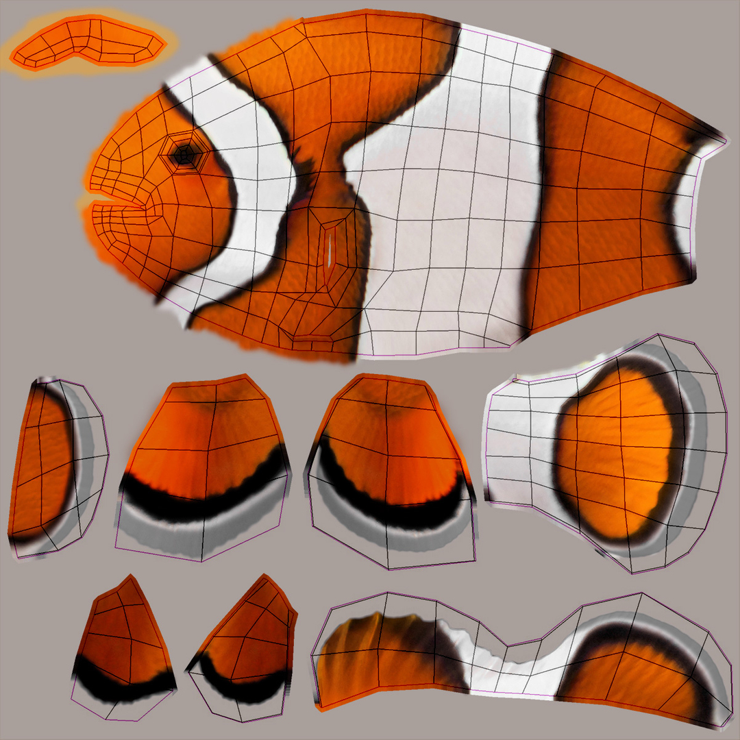Saltwater fish rigged 3D model - TurboSquid 1514476