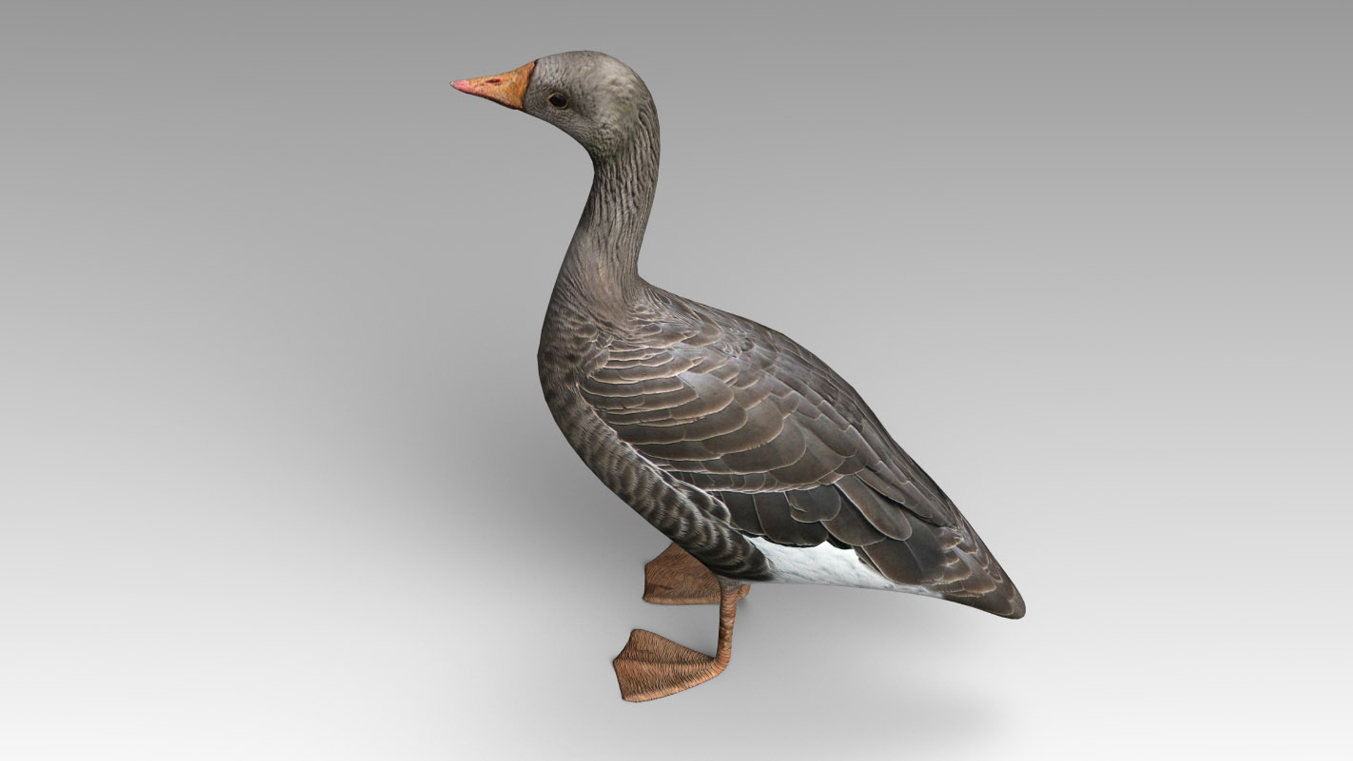 3d model goose