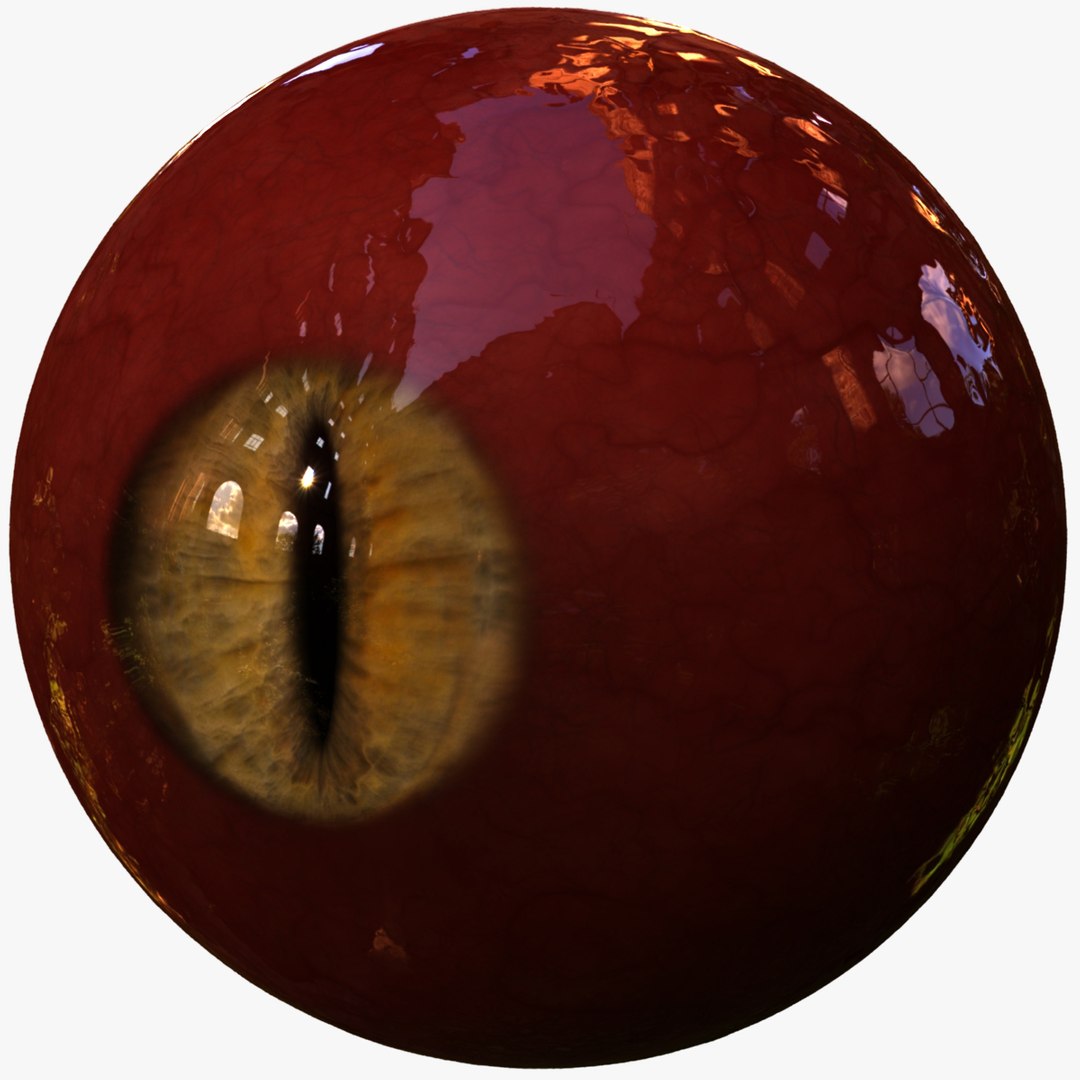 obj realistic human creature eye pupil