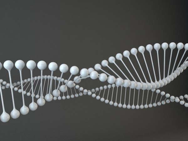 Free 3D Dna Models | TurboSquid