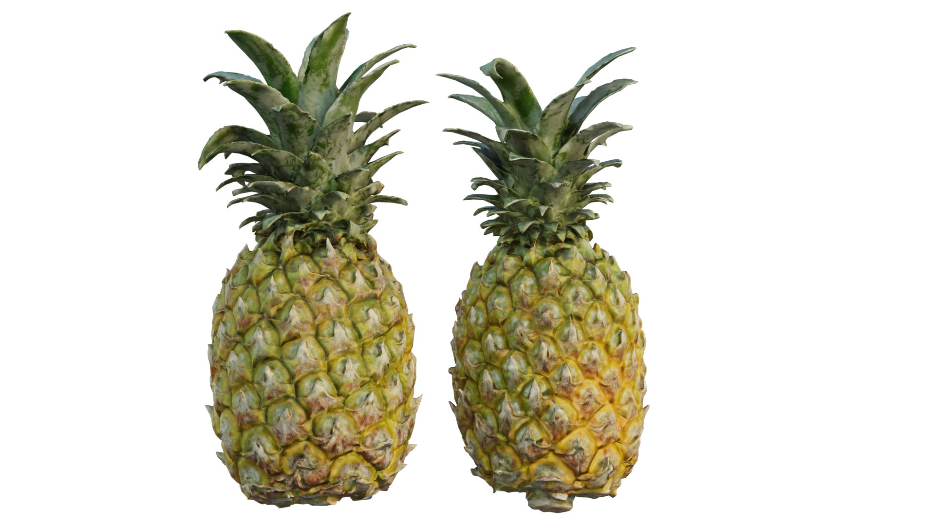 Pineapple 02 3D model - TurboSquid 1945668