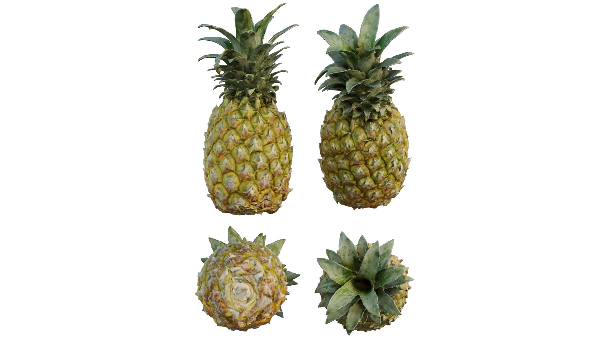 Pineapple 02 3D model - TurboSquid 1945668
