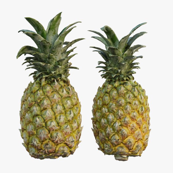 modelo 3d pineapple 02 - TurboSquid 1945668