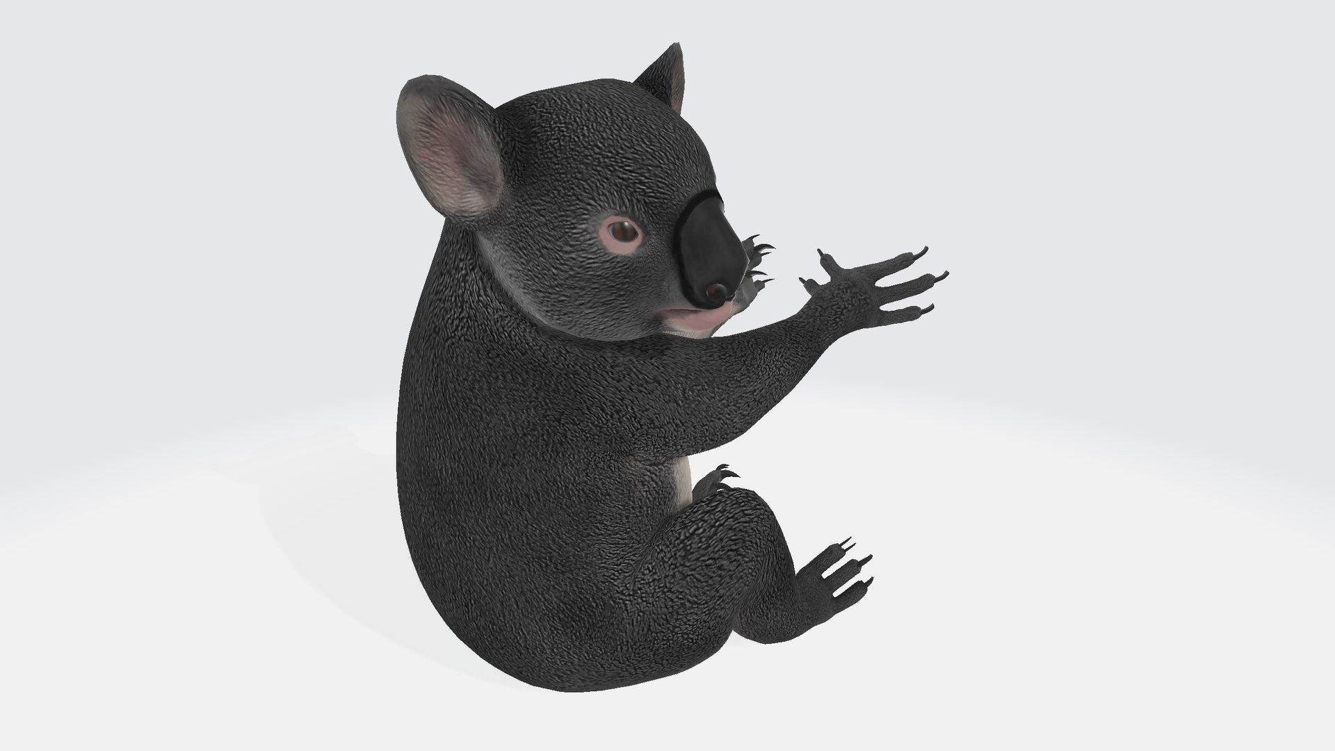 Koala Bear 3D Model - TurboSquid 2301640