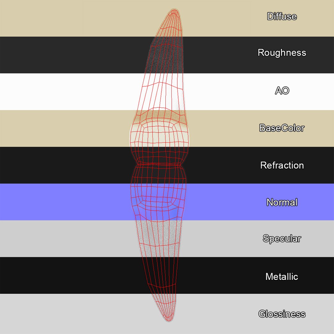 Human teeth lower lateral model - TurboSquid 1552170