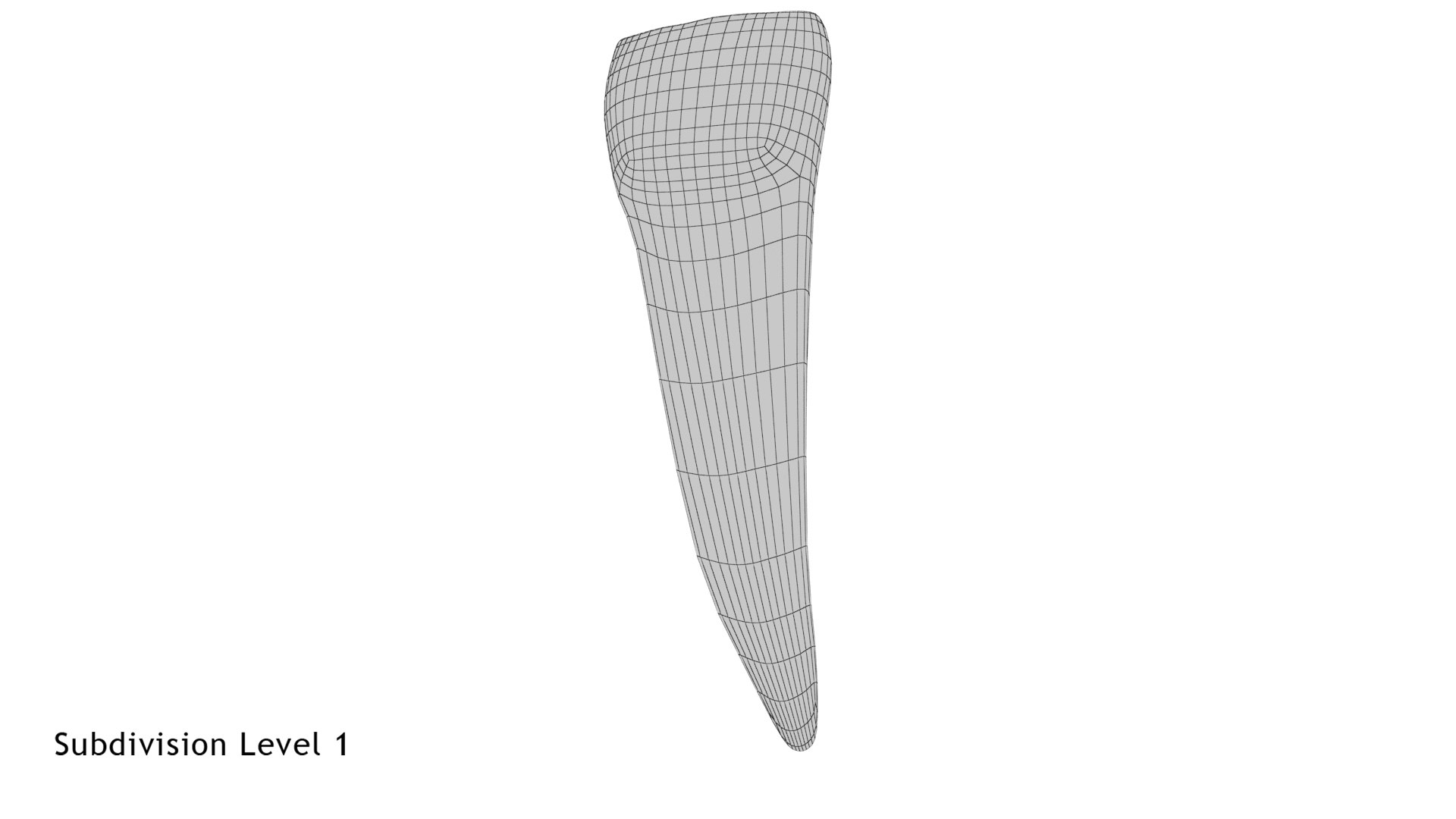 Human Teeth Lower Lateral Model - TurboSquid 1552170