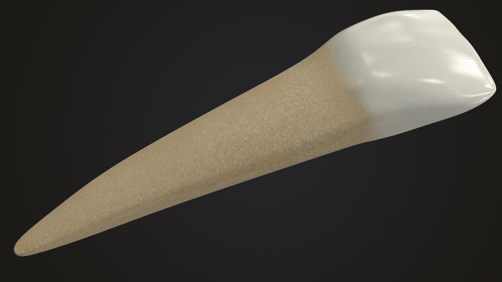 Human Teeth Lower Lateral Model - TurboSquid 1552170