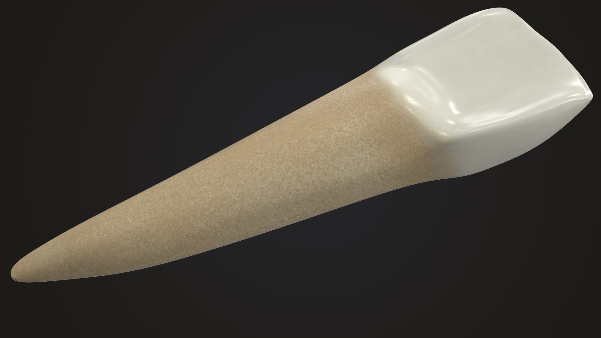 Human Teeth Lower Lateral Model - TurboSquid 1552170