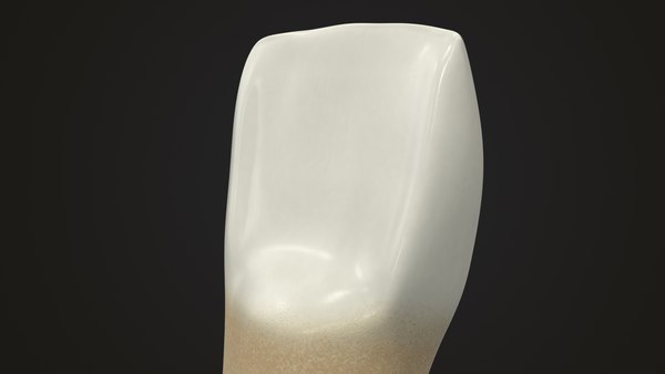 Human teeth lower lateral model - TurboSquid 1552170