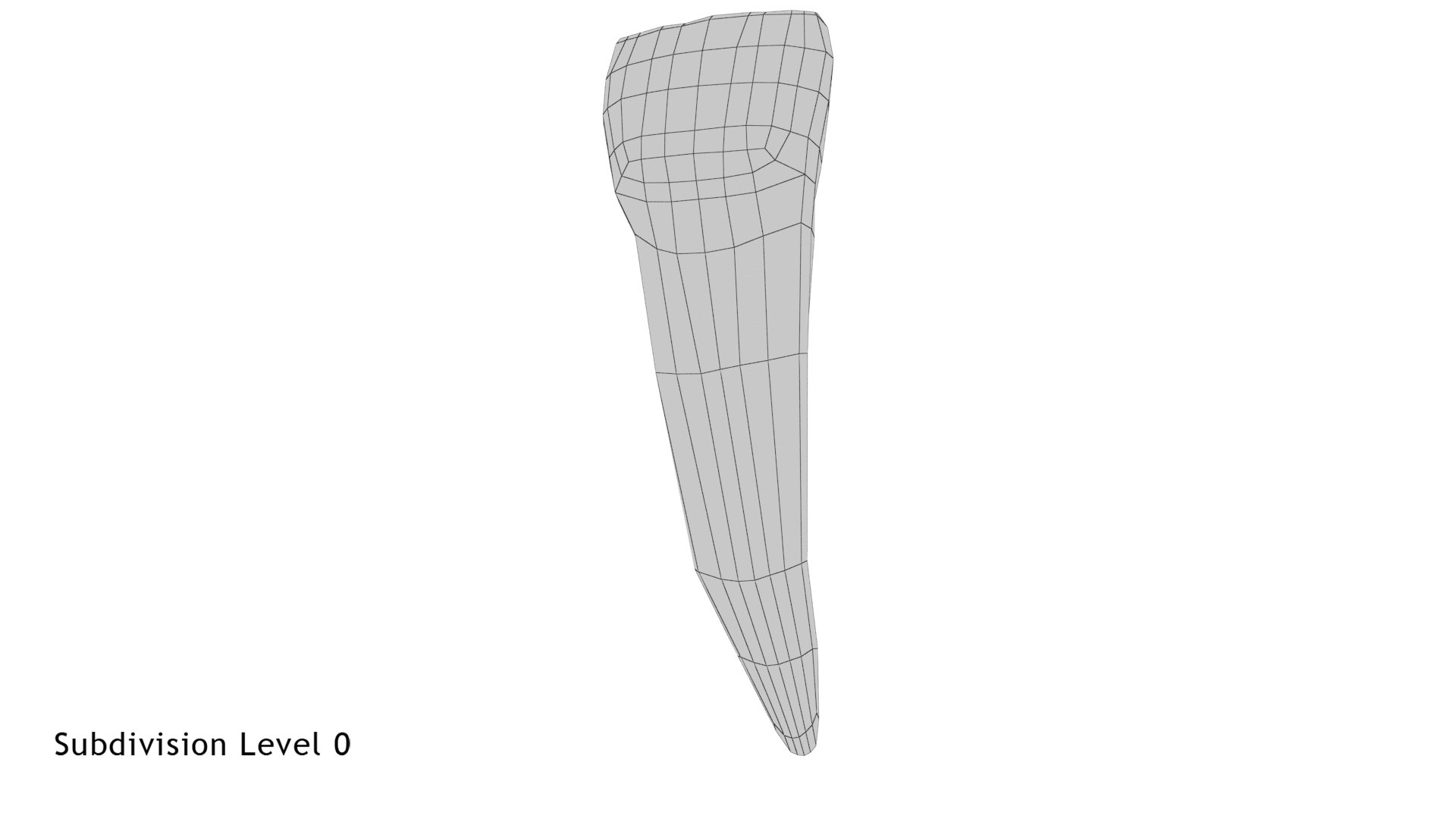 Human Teeth Lower Lateral Model - TurboSquid 1552170
