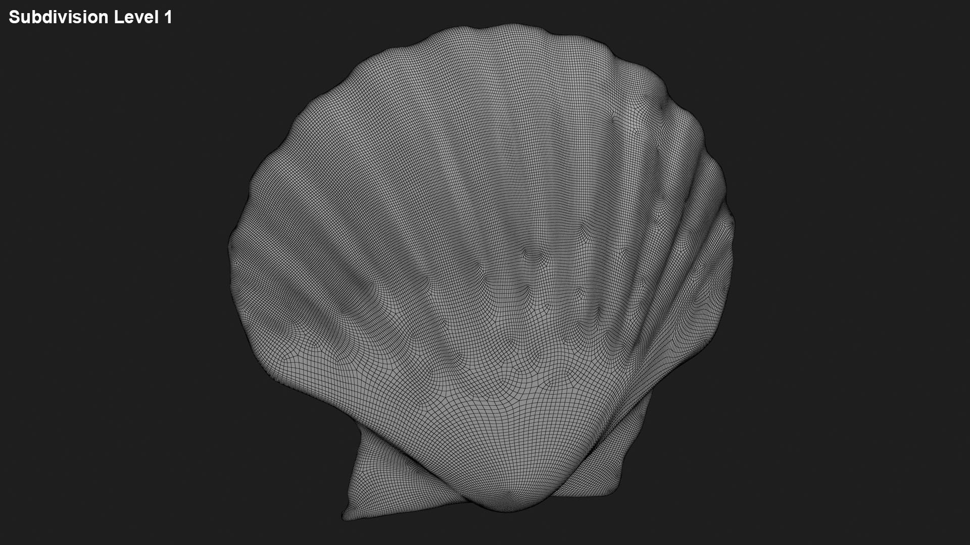3D Clam Shell 03 Model - TurboSquid 2269913