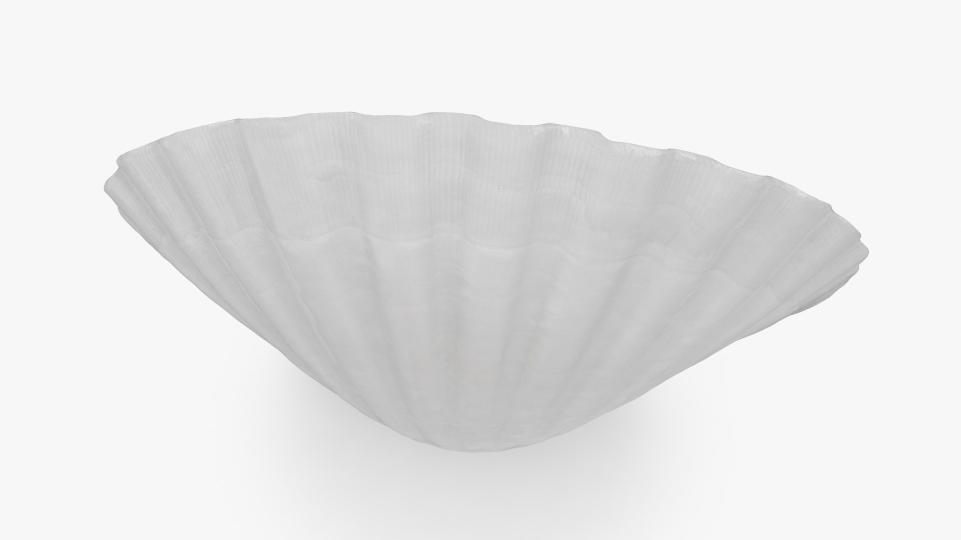 3D Clam Shell 03 Model - TurboSquid 2269913