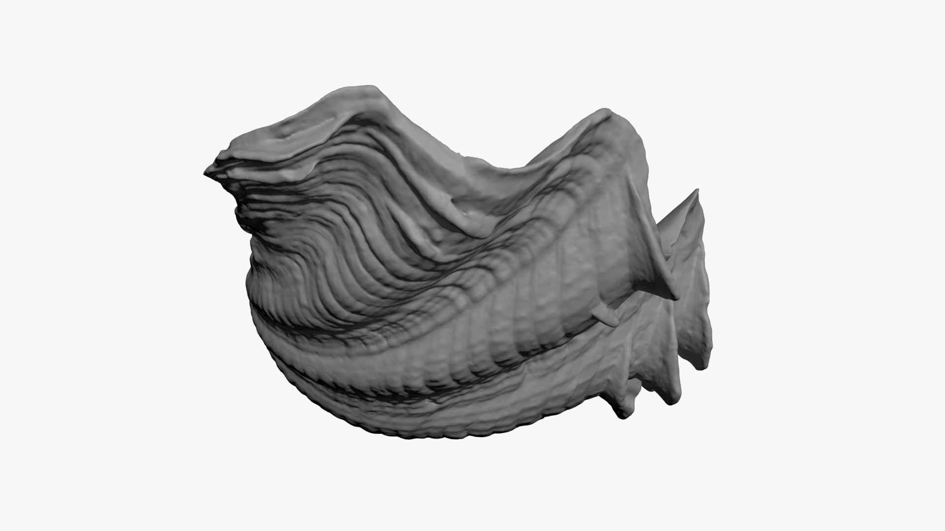 3D Giant Clam Shell Half 01 For 3D Print - TurboSquid 2304972