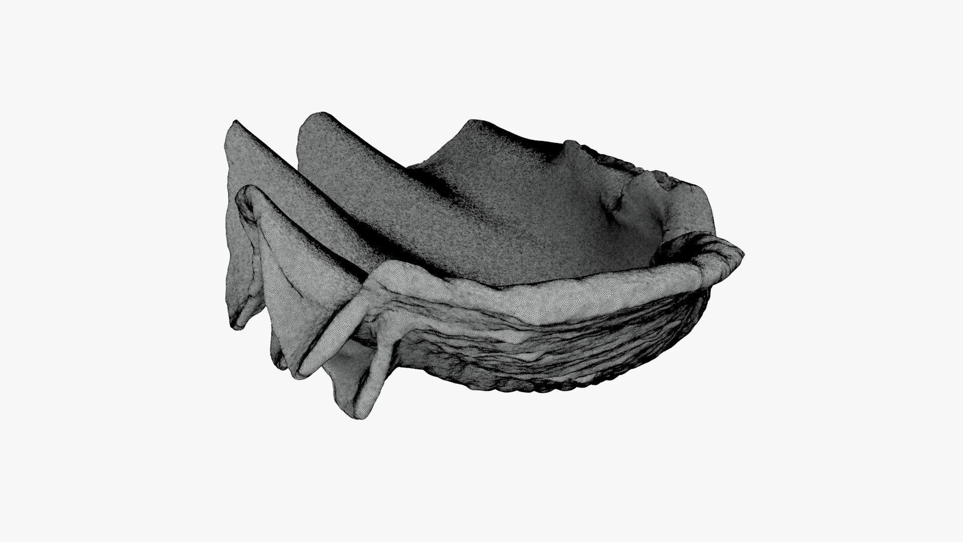 3D Giant Clam Shell Half 01 For 3D Print - TurboSquid 2304972