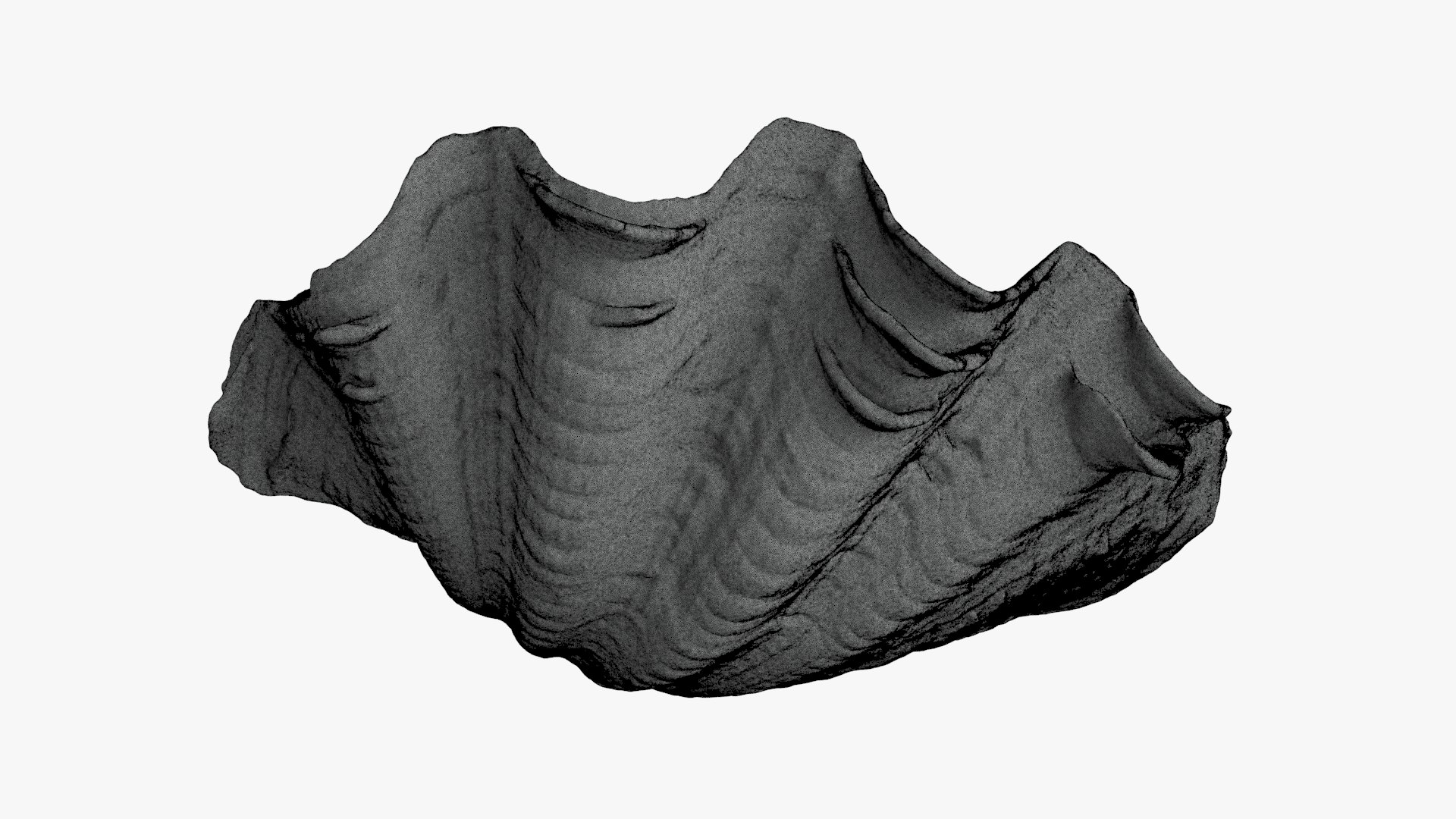 3D Giant Clam Shell Half 01 For 3D Print - TurboSquid 2304972