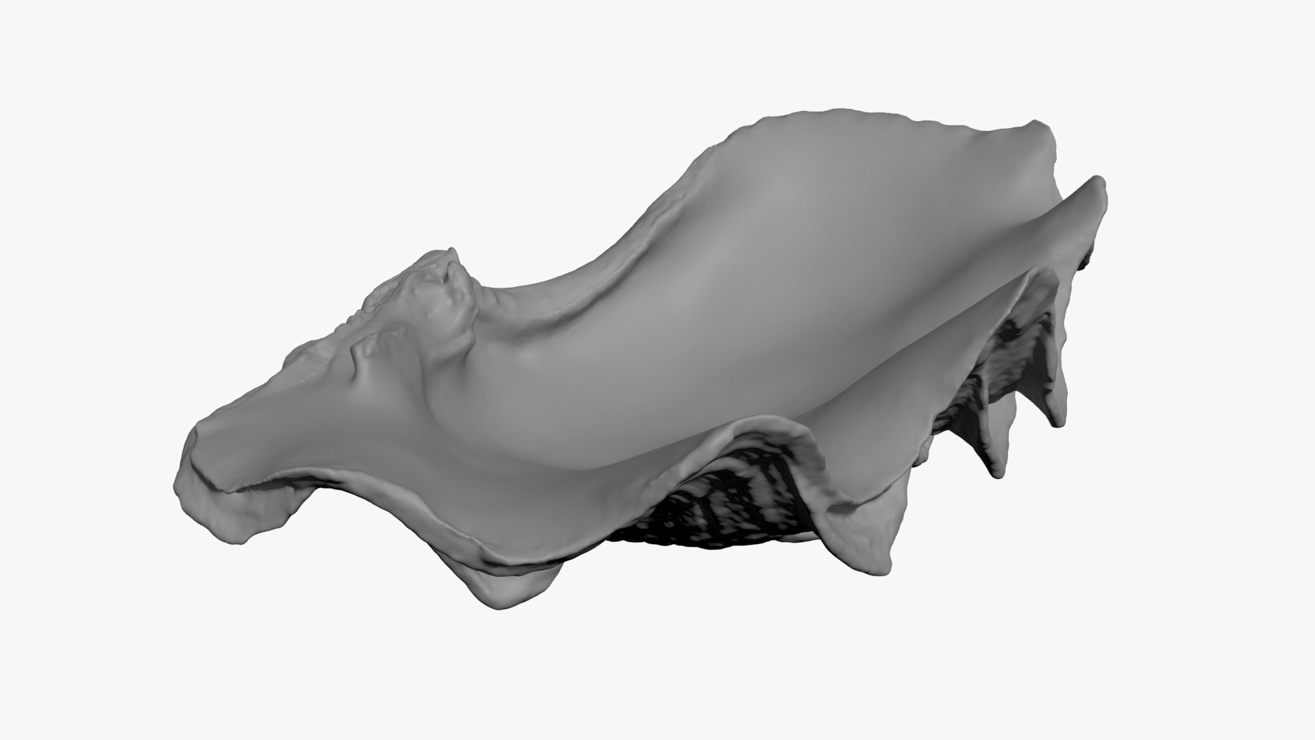 3D Giant Clam Shell Half 01 For 3D Print - TurboSquid 2304972