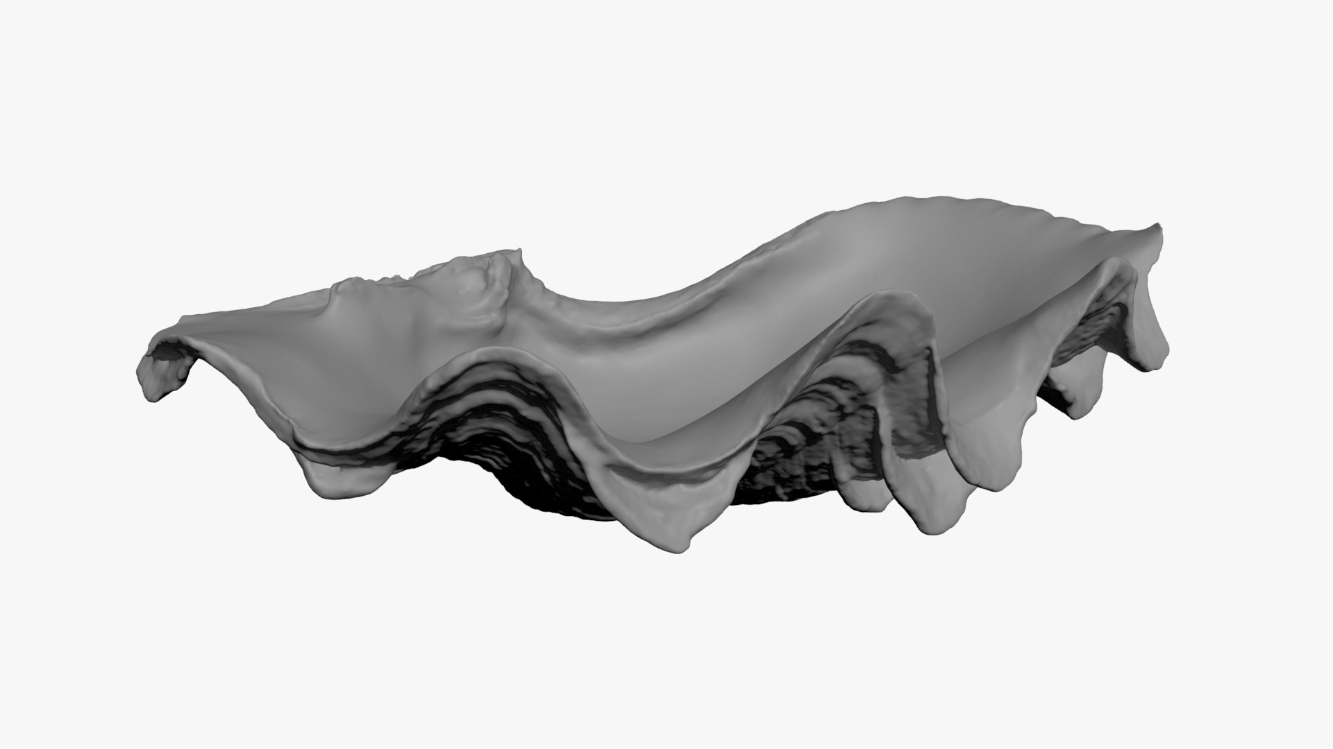 3D Giant Clam Shell Half 01 For 3D Print - TurboSquid 2304972