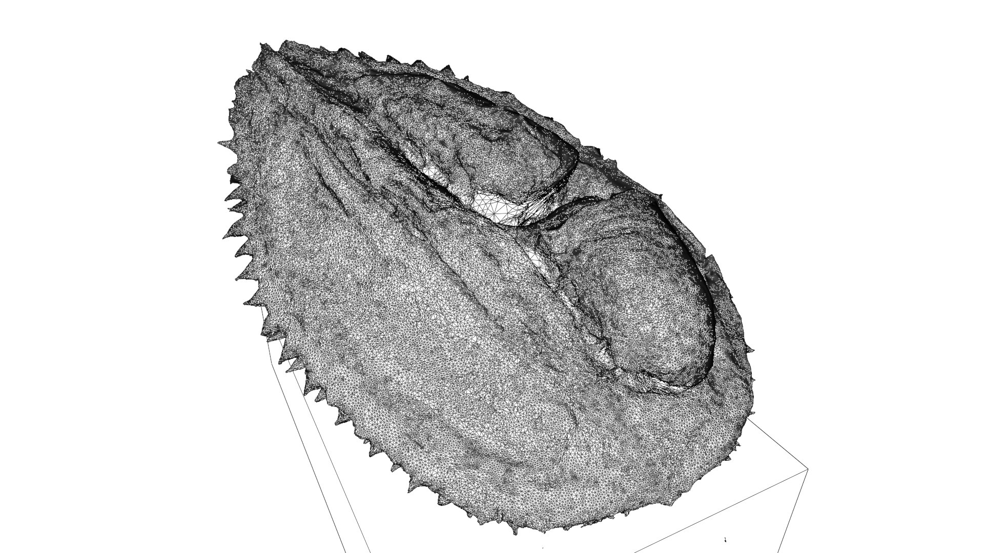 3D Durian Flesh Model - TurboSquid 2128121