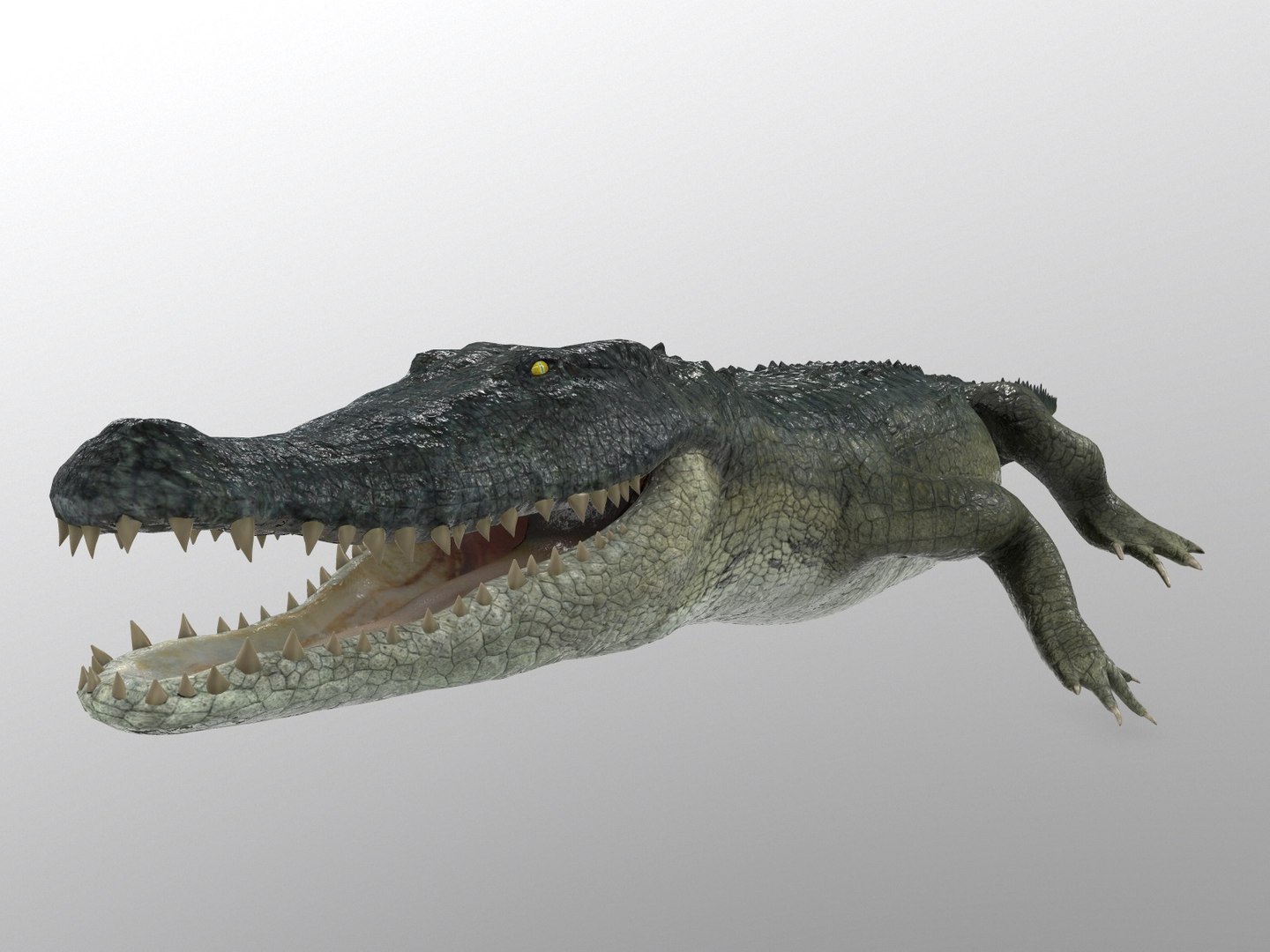 3d alligator reptile animation