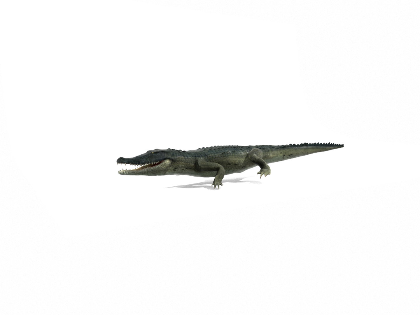 3d alligator reptile animation