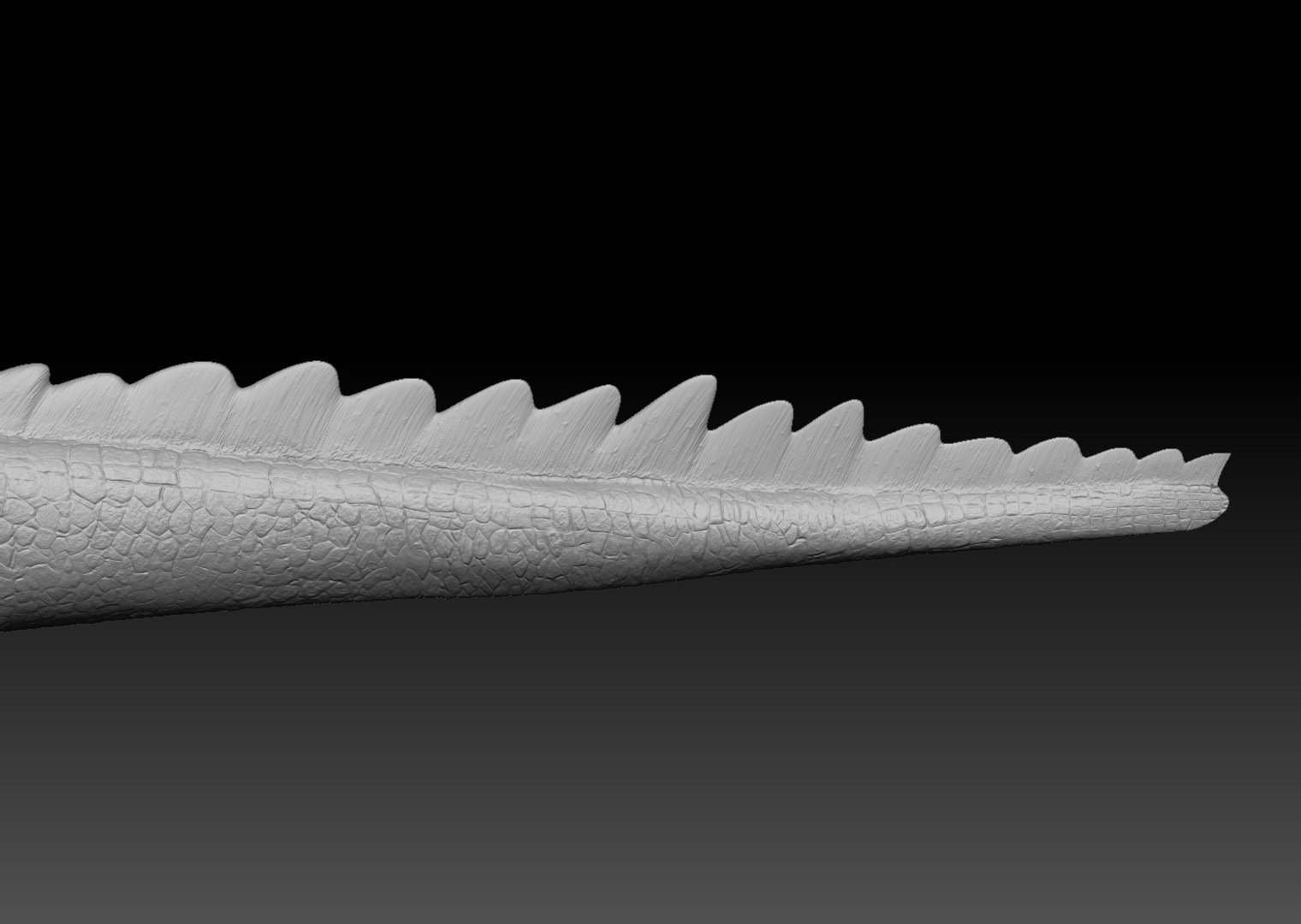 3d alligator reptile animation