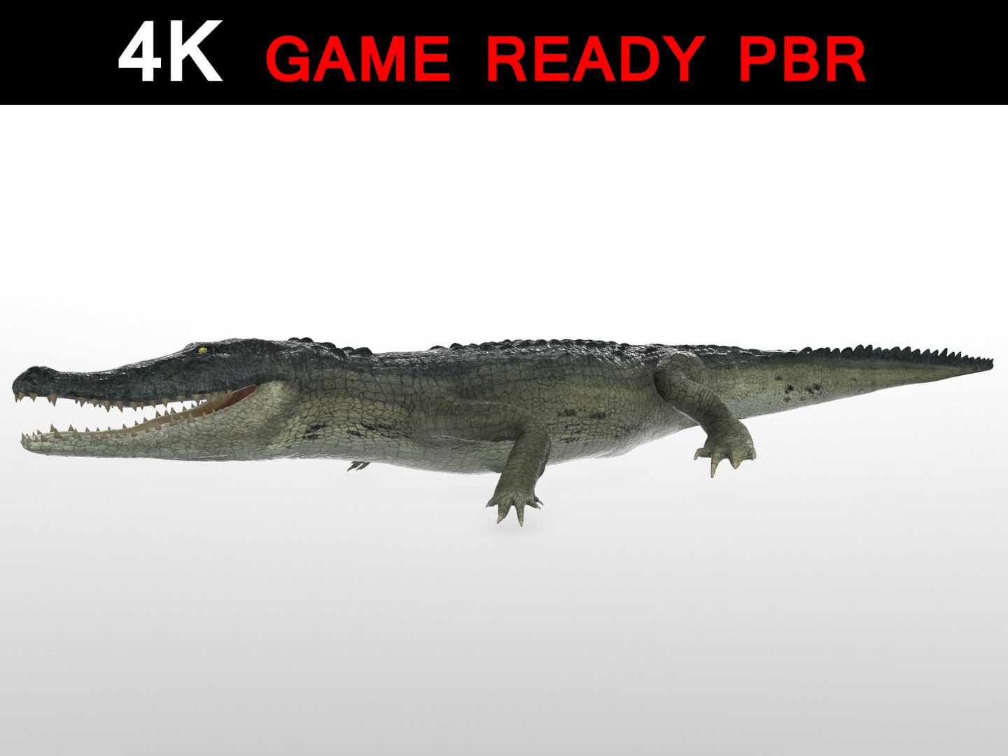 3d alligator reptile animation